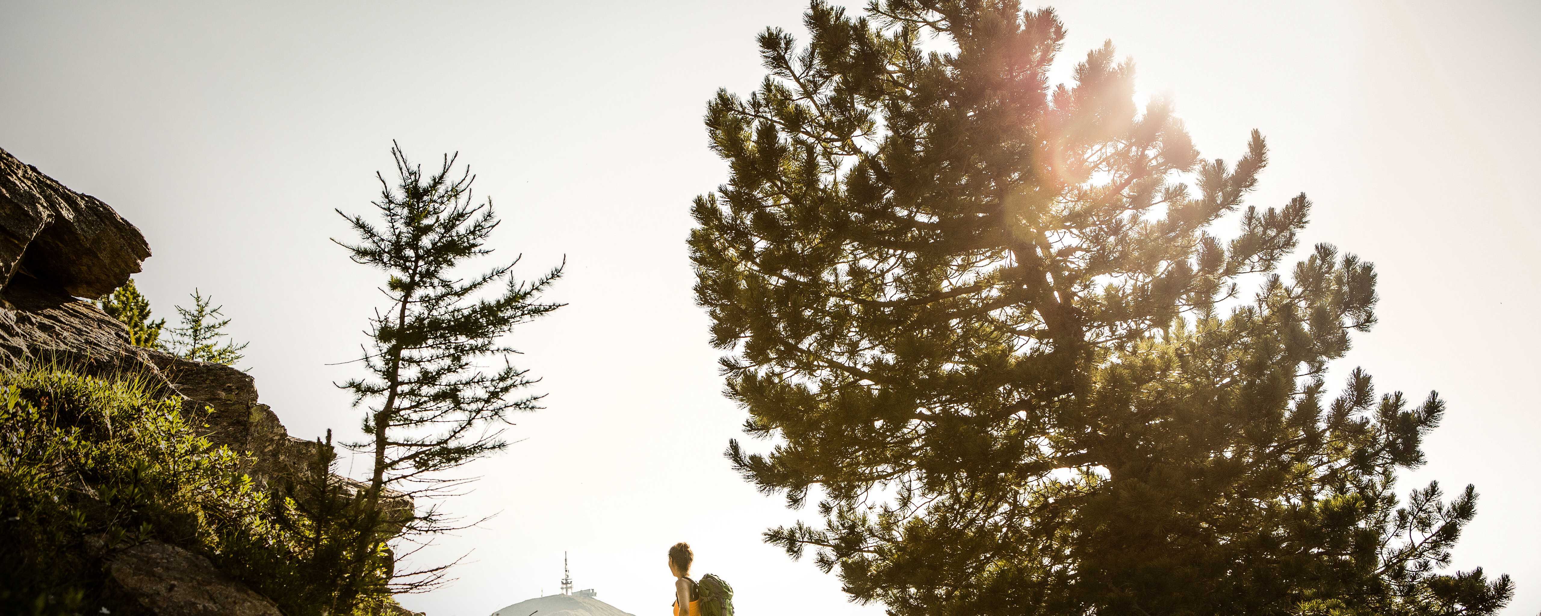 Zirbenweg | Innsbruck Patscherkofel