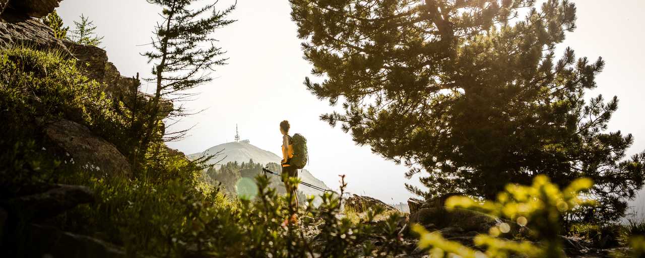 Zirbenweg | Innsbruck Patscherkofel